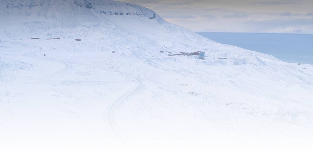 Mengenal GitHub Arctic Code Vault - TeknoCerdas.com